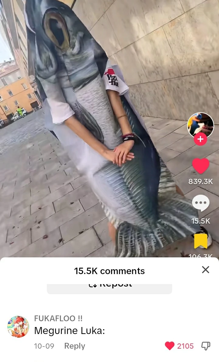 Luka Luka☆ | Fandom