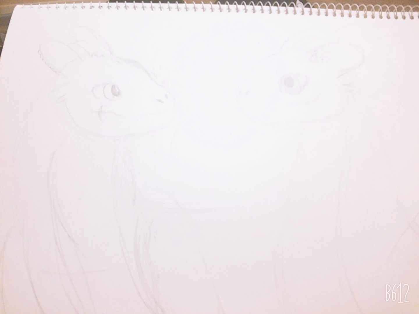 Toothless's parents | Fandom