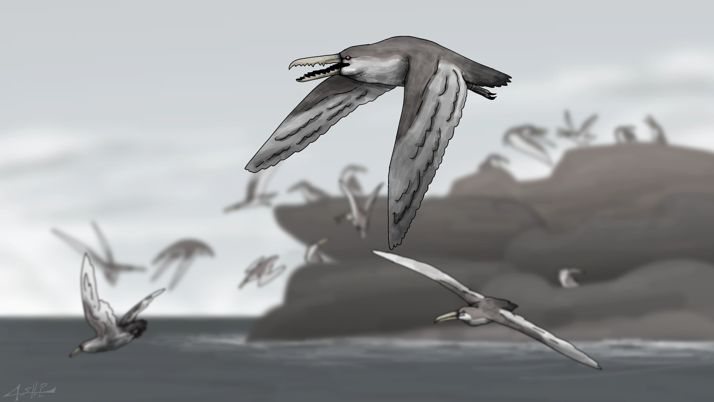 Pelagornis sandersi drawing | Fandom