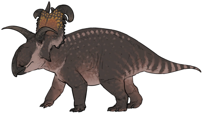 Lokiceratops | Fandom