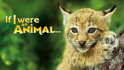 If I Were an Animal... | Fandom