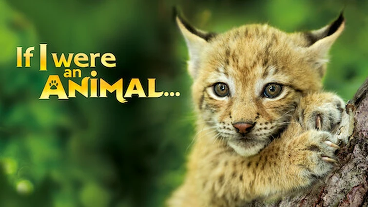 If I Were an Animal... | Fandom