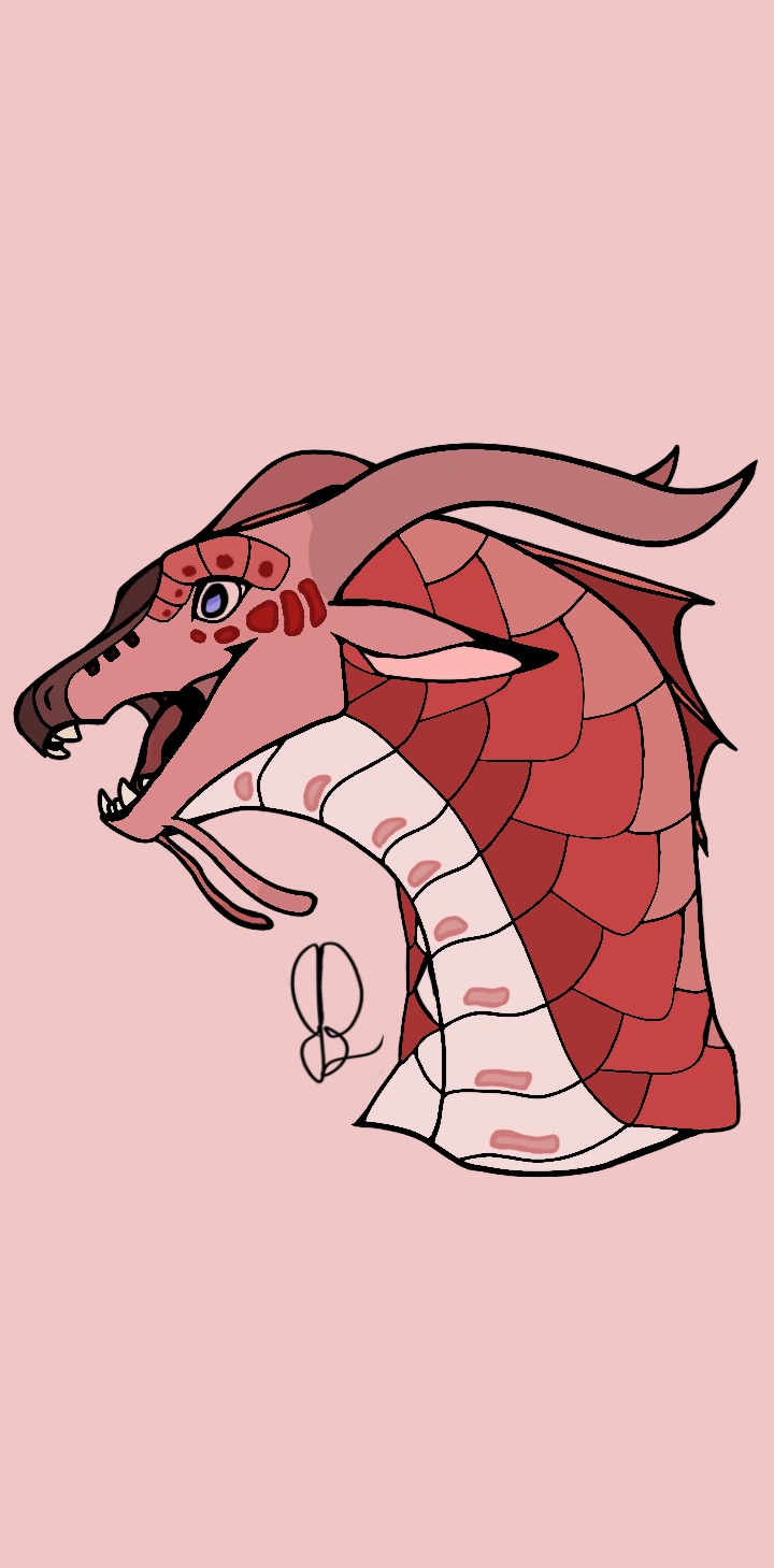 Seawonk giveaway! | Fandom