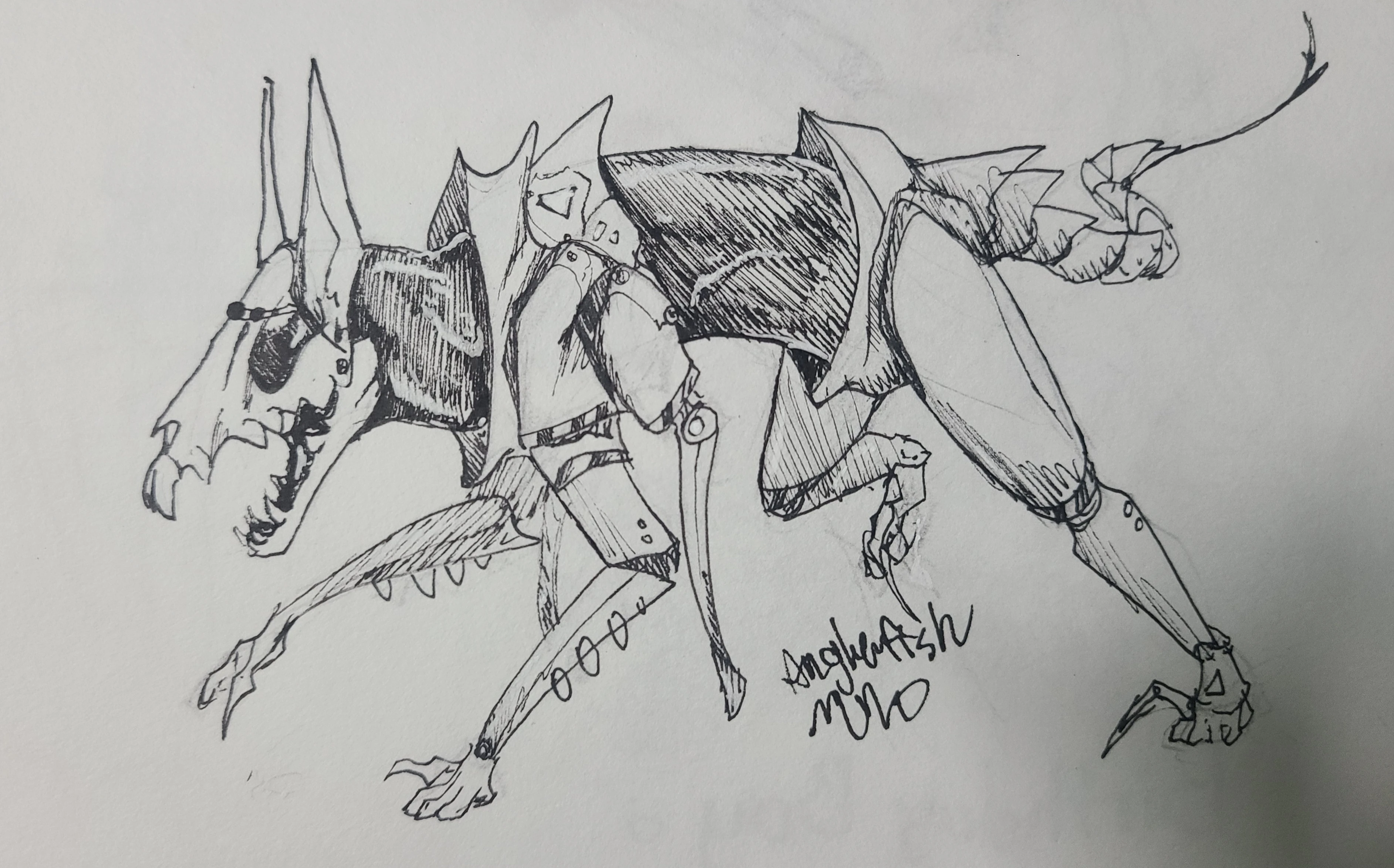 Dog | Fandom