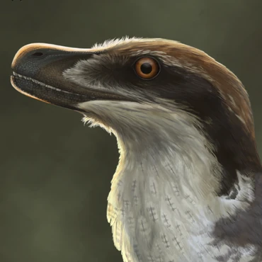 Discuss Everything About Dinopedia | Fandom