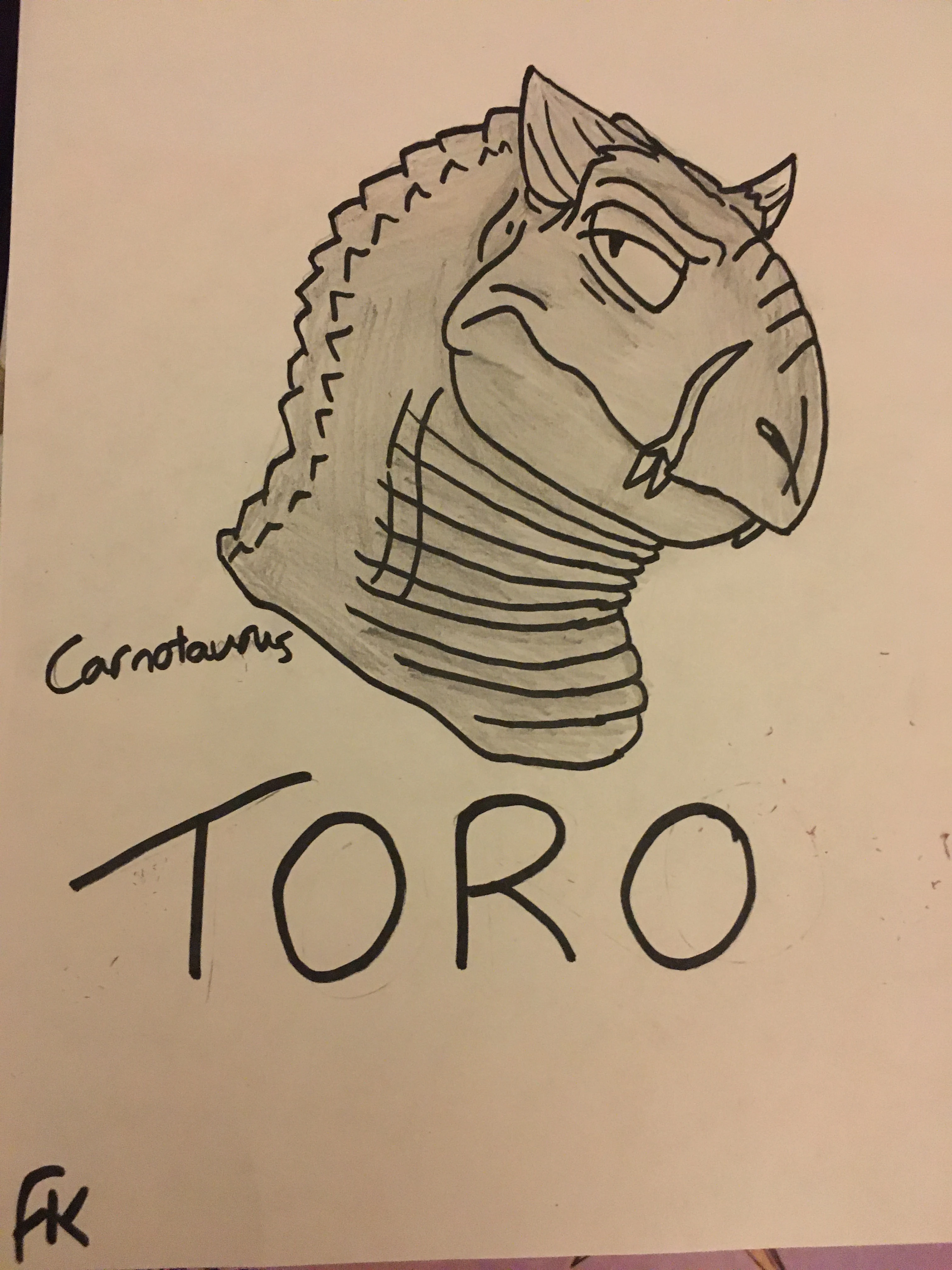 Toro | Fandom