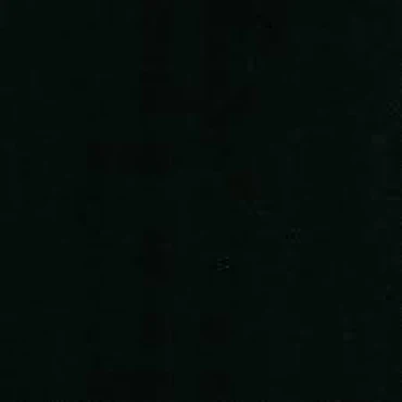 Discuss Everything About Catch! Teenieping Wiki | Fandom