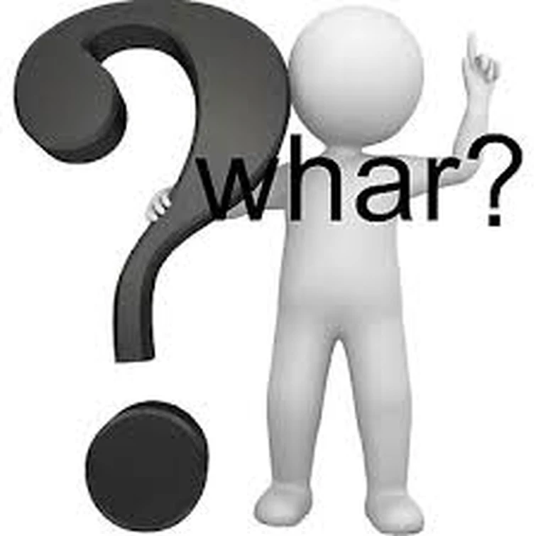 ASK AN NPC A QUESTION!!‼️🗣️🗣️ | Fandom