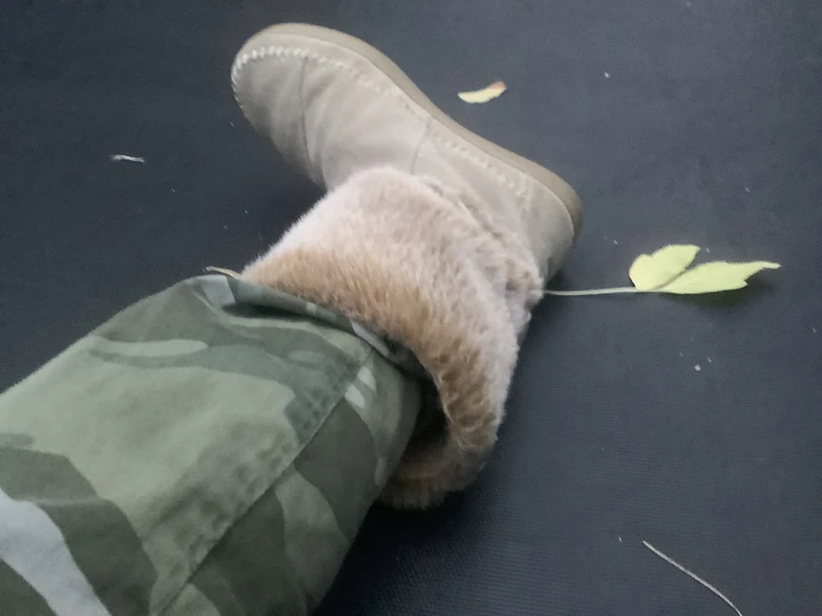 My favorite things that I own | Fandom