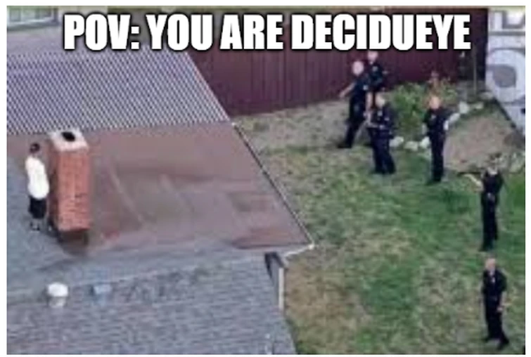 Mass meme production | Fandom