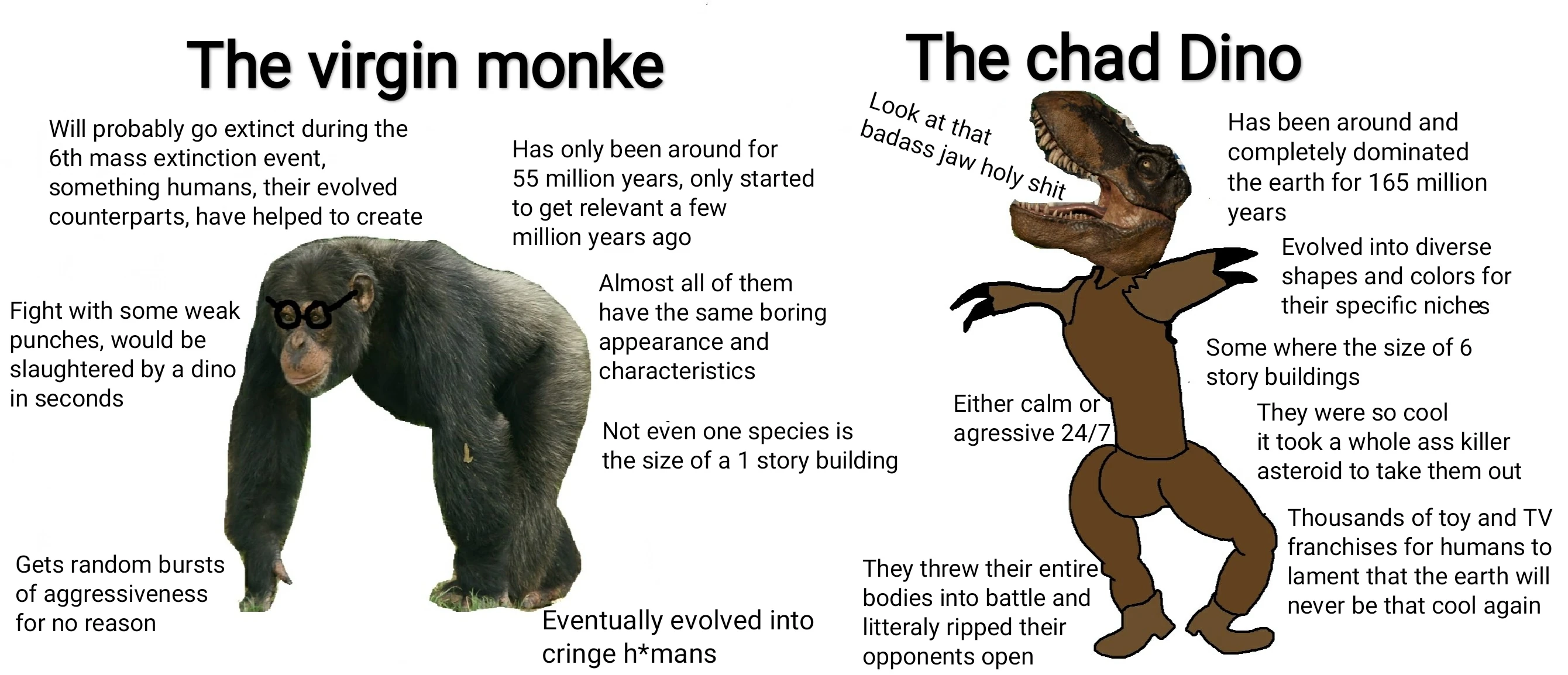 Virgin vs Chad | Fandom