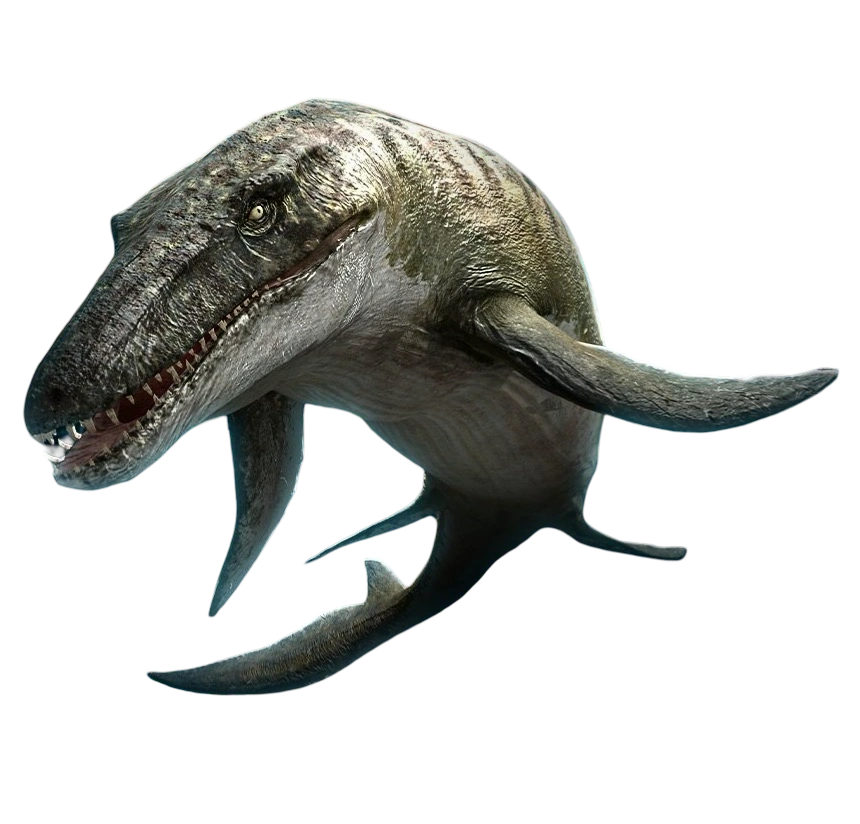 Look at this mosa render | Fandom