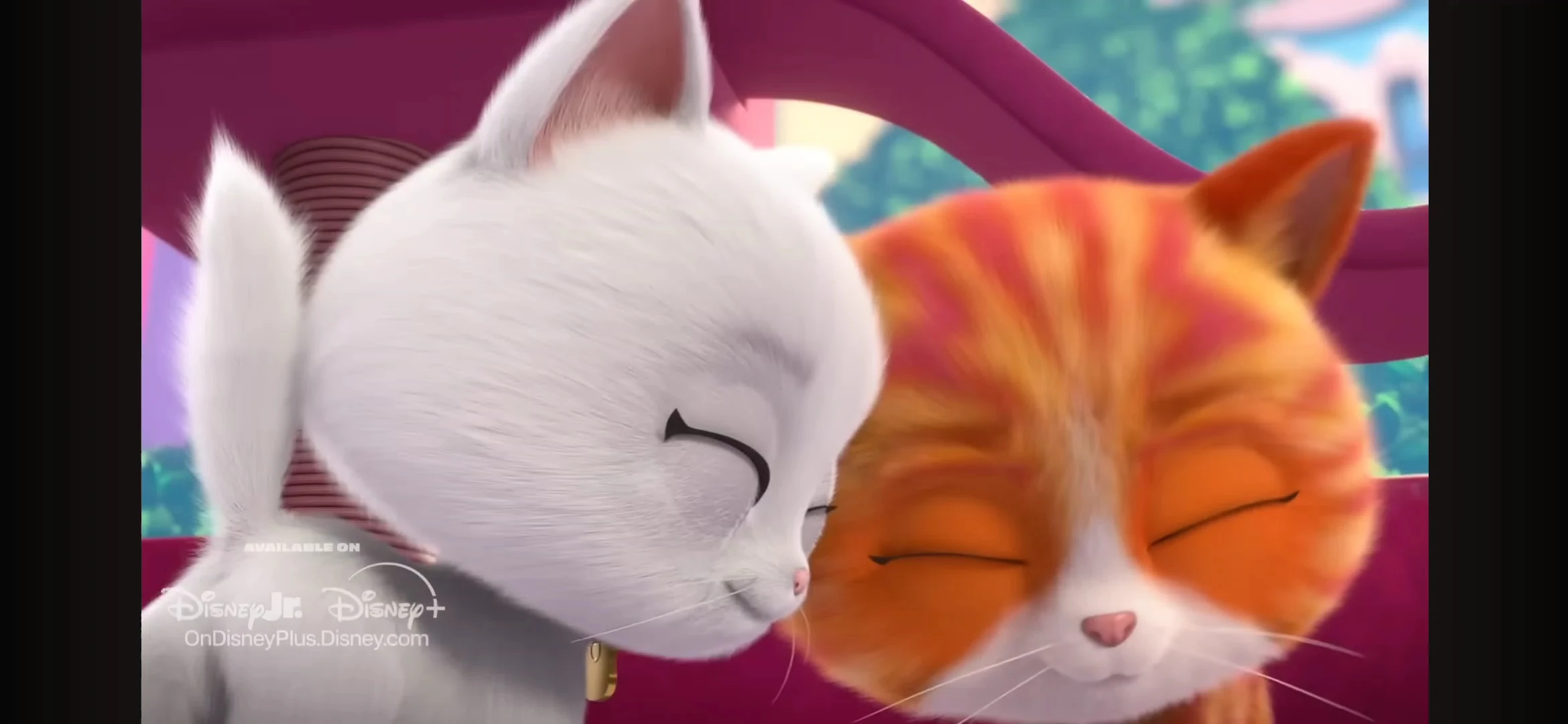 Brand New Bestie but it's only Bitsy and Ginny nuzzling each other and purring. | Fandom