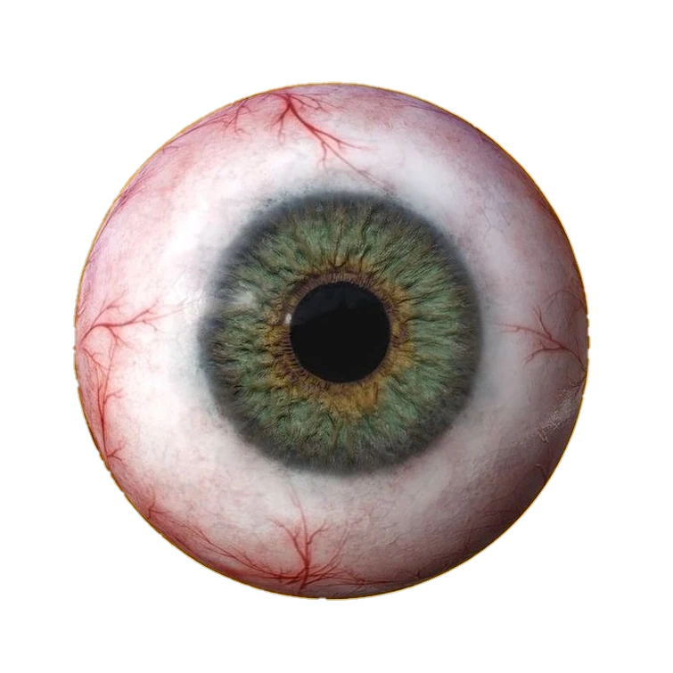 Useless post | Fandom