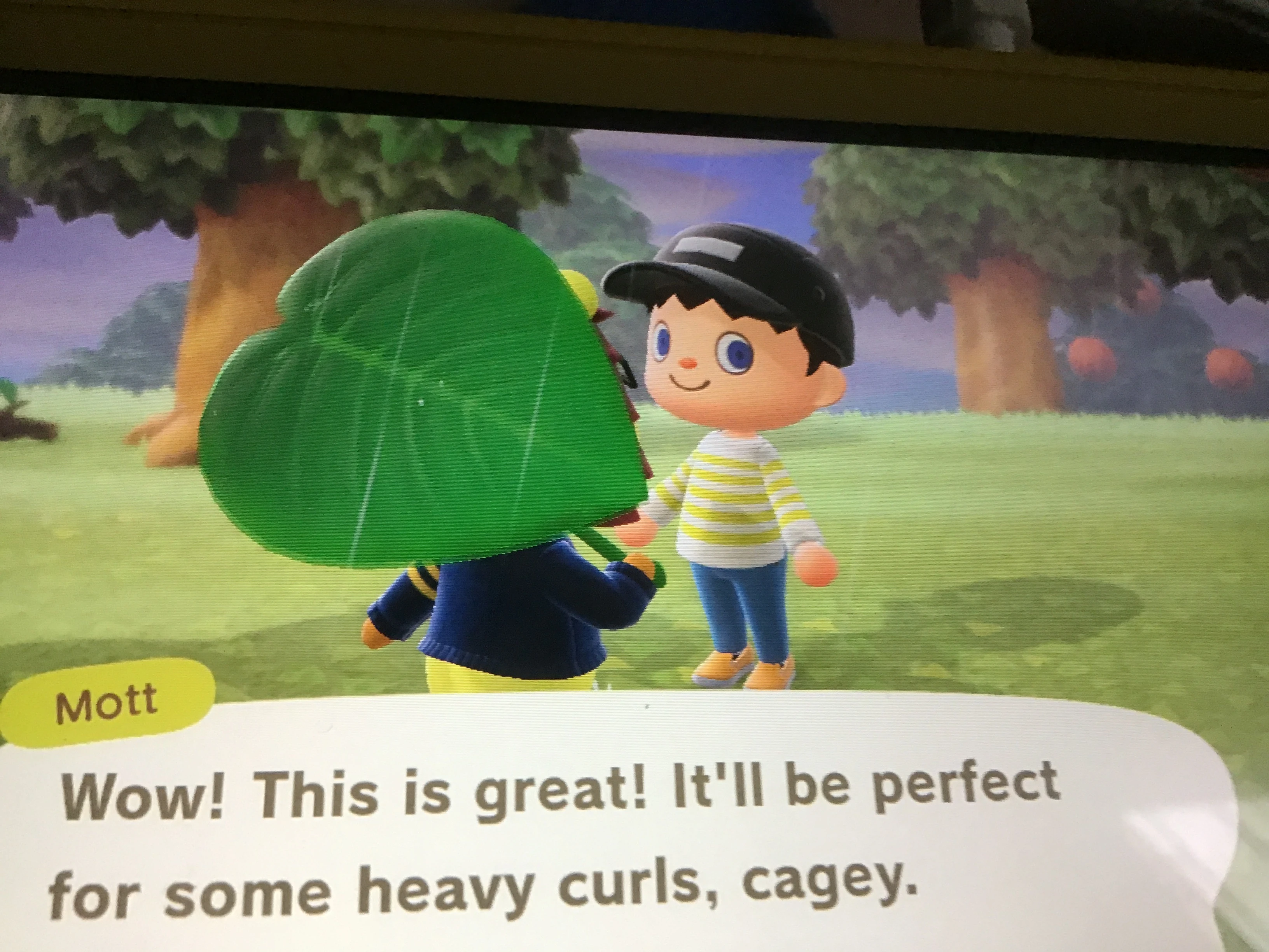 My bro gave Mott a tree branch... lol | Fandom