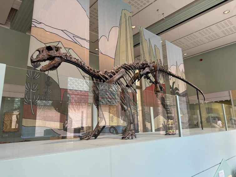 What are y’all’s opinions of Tenontosaurus? | Fandom