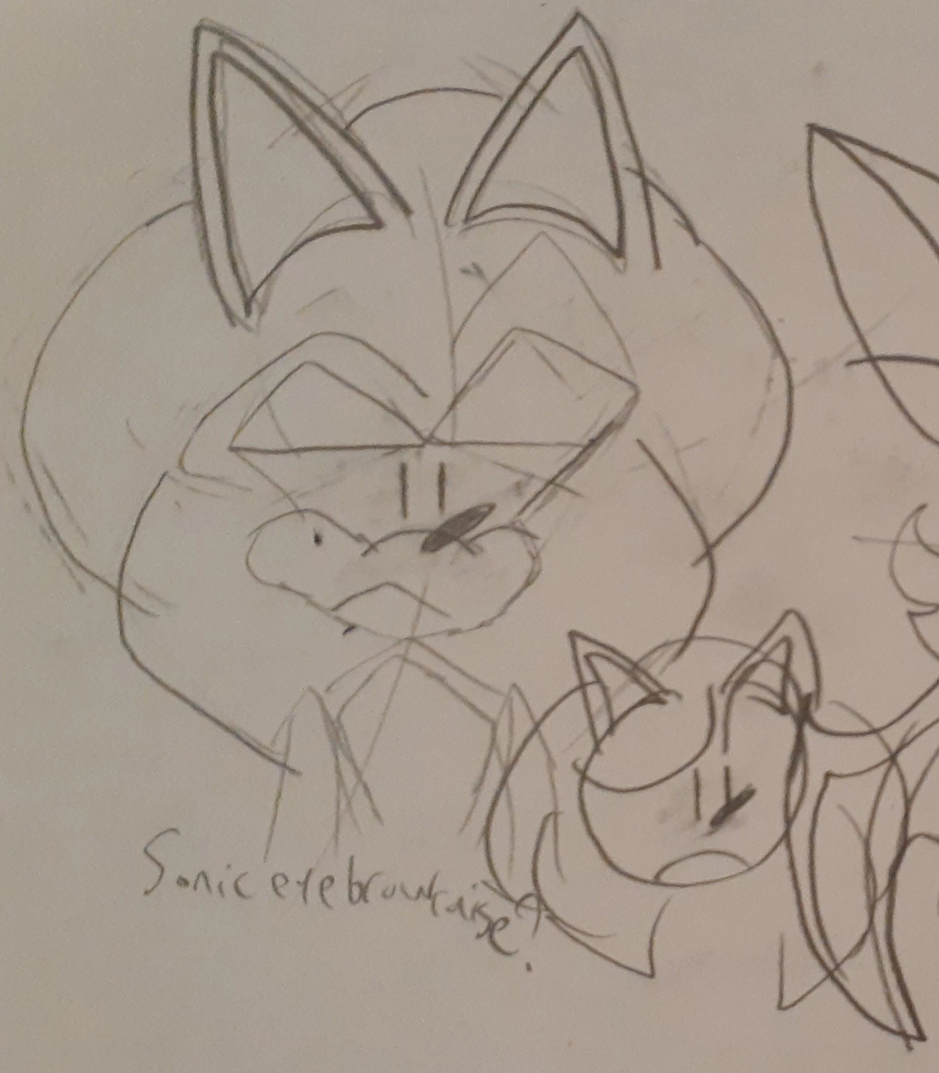 sonic eyebrow raise | Fandom