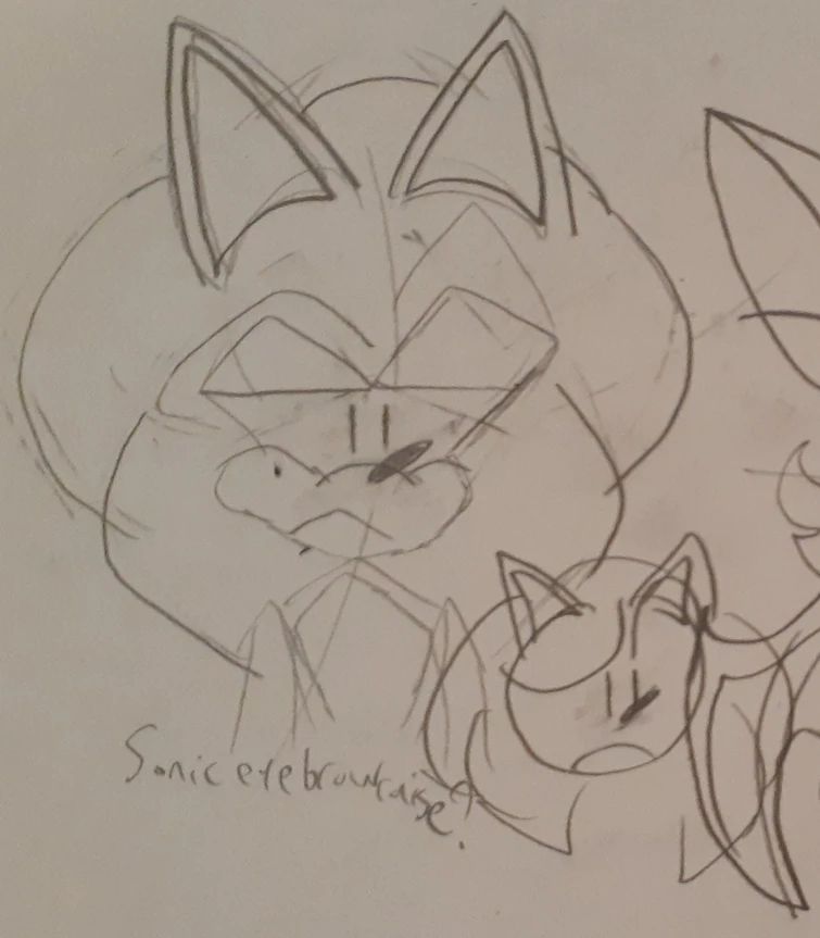 sonic eyebrow raise | Fandom