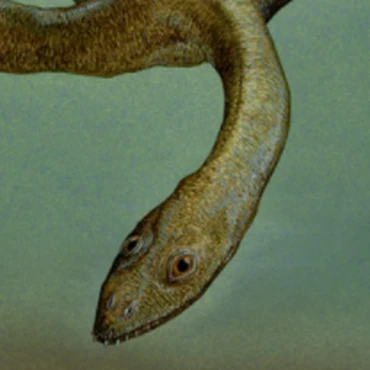 Discuss Everything About Dinopedia | Fandom