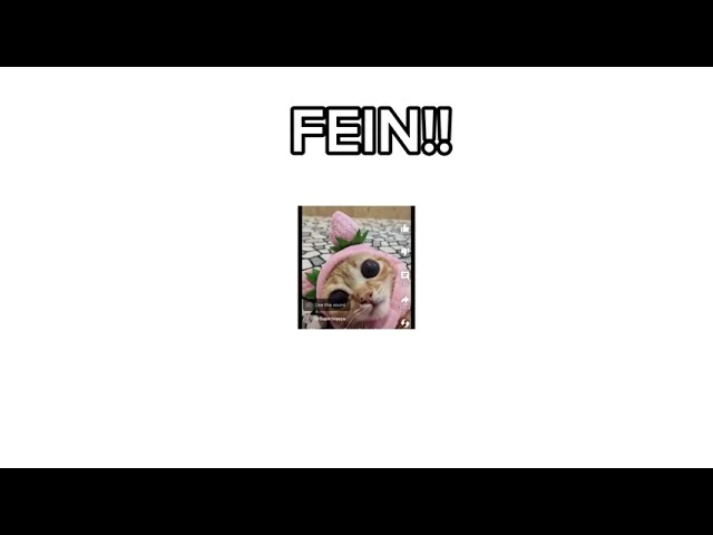 BROKE FEIN | Fandom