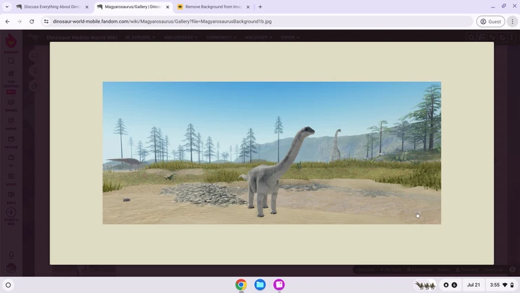 Tip + Tutorial | Fandom