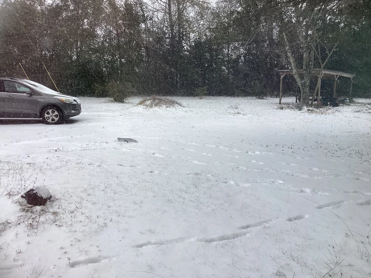 It’s snowing .. In Florida | Fandom