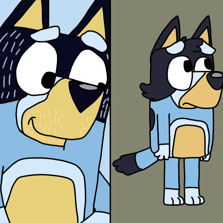 Bandit Heeler Then & Now | Fandom