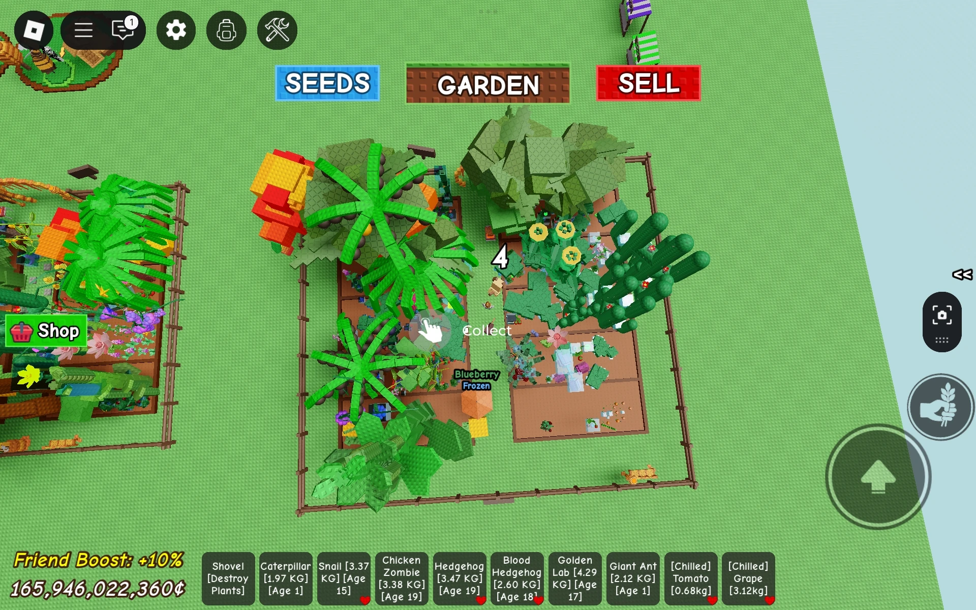 Garden reveal because I wanted to (I now max expanded It) | Fandom