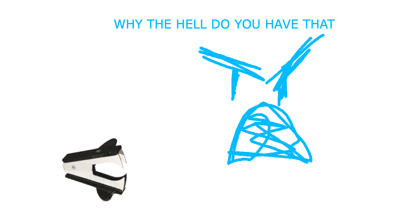 WHY THE HELL DO YOU HAVE THAT | Fandom