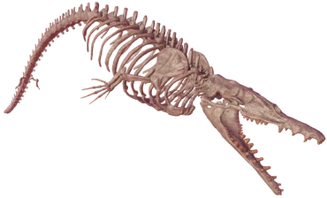 Discuss Everything About Dinosaur Simulator Wiki | Fandom