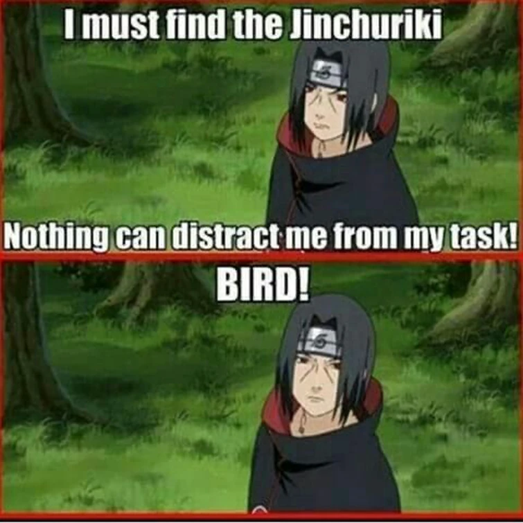 Itachi Funny Memes Title: Naruto Fan Meme Google Haku | Itachi,
