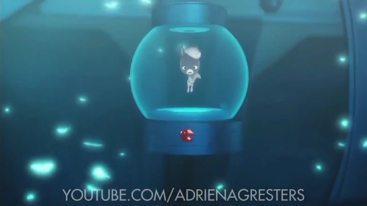 The alliance ring and the cage? | Fandom