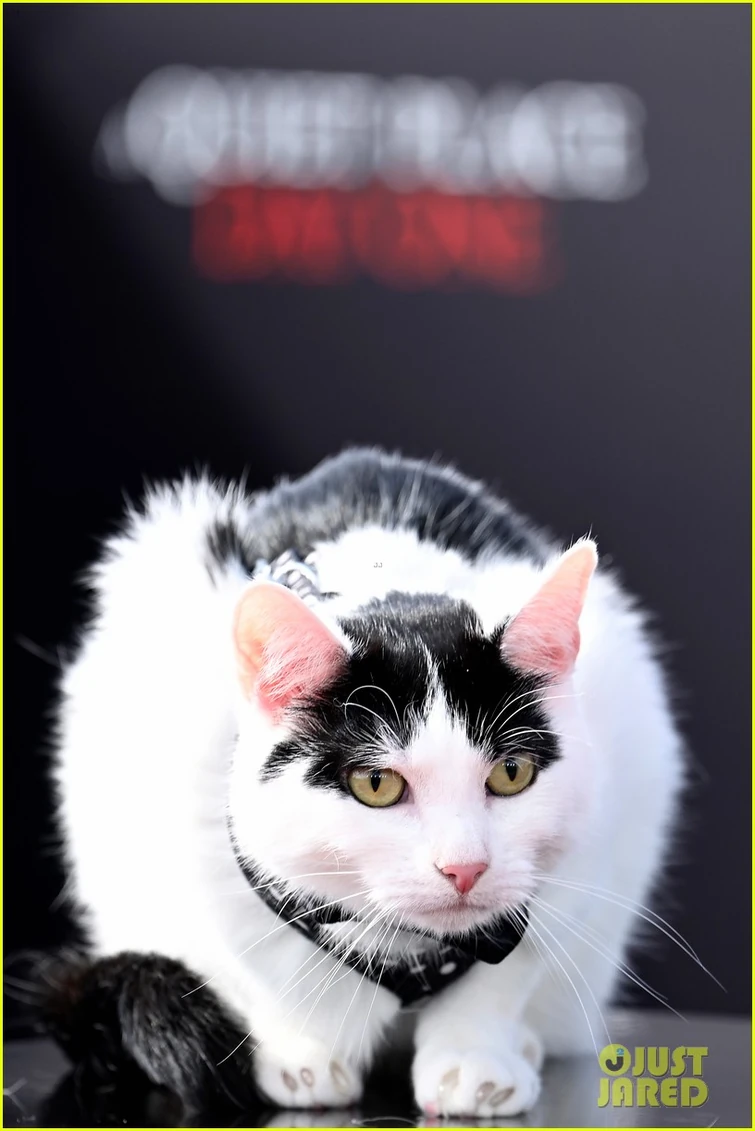 Discuss Everything About A Quiet Place Wiki | Fandom