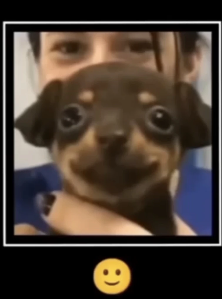 Hello fellow Goobers | Fandom