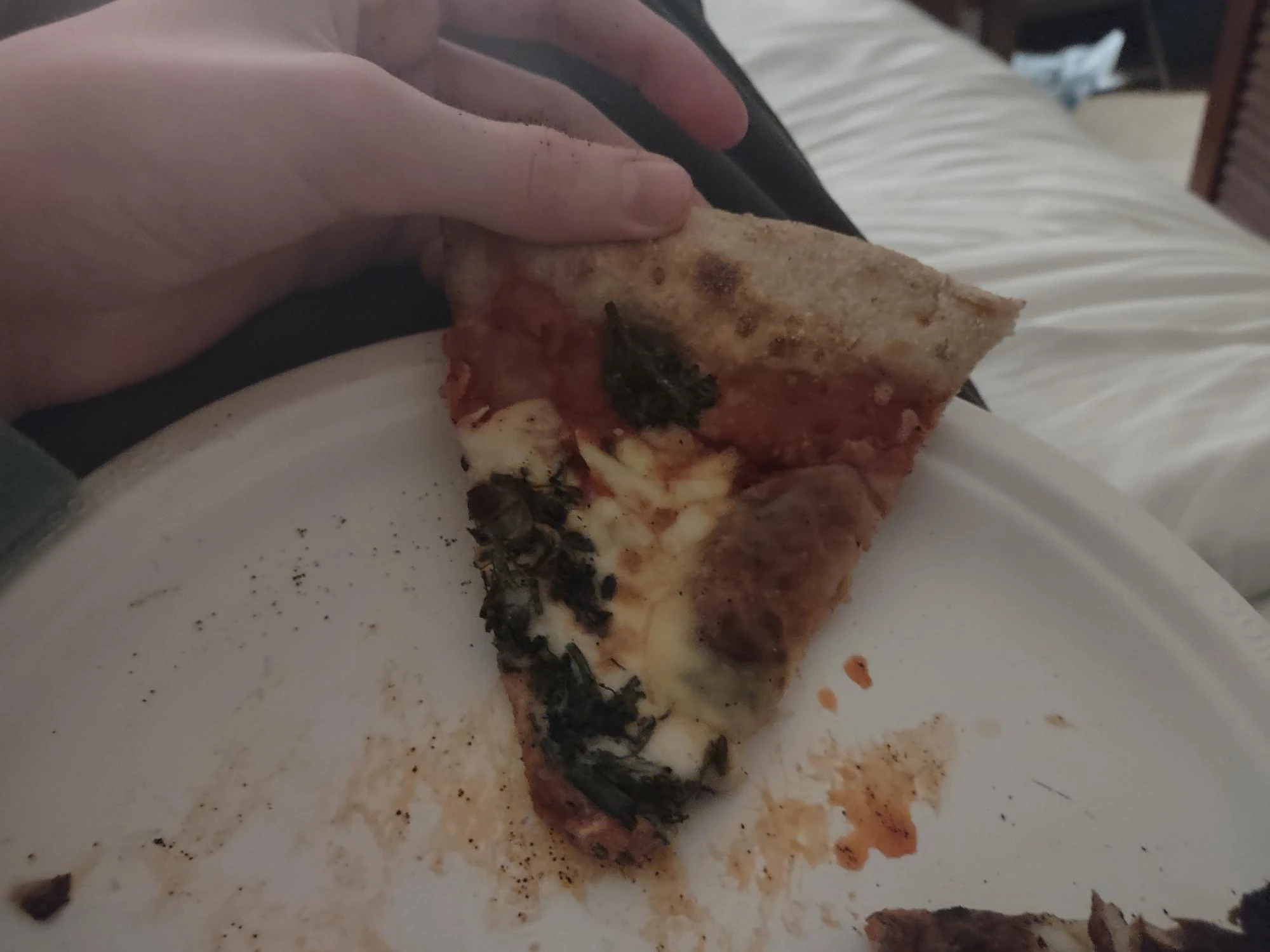 To anyone who gets annoyed/ disgusted by pineapple on pizza | Fandom