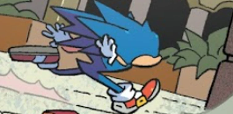 from now on I shall try to use Sonic reaction images from the comics ...