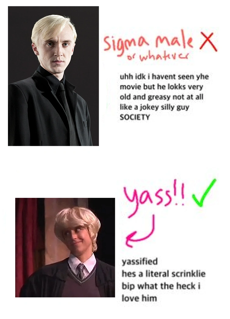This meme pretty much explains what I mean when I say I like Draco | Fandom