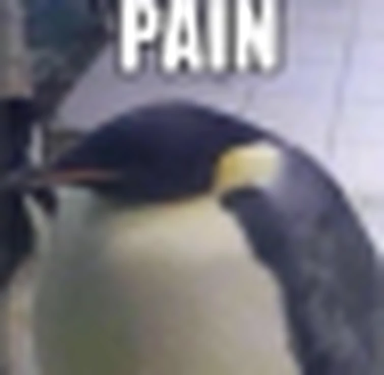 Which member of the BRM5 wiki is ACTUALLY funny? | Fandom