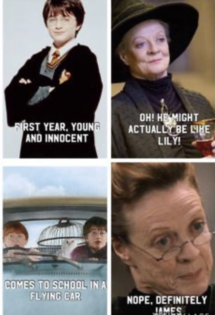 James x lily and Harry memes | Fandom