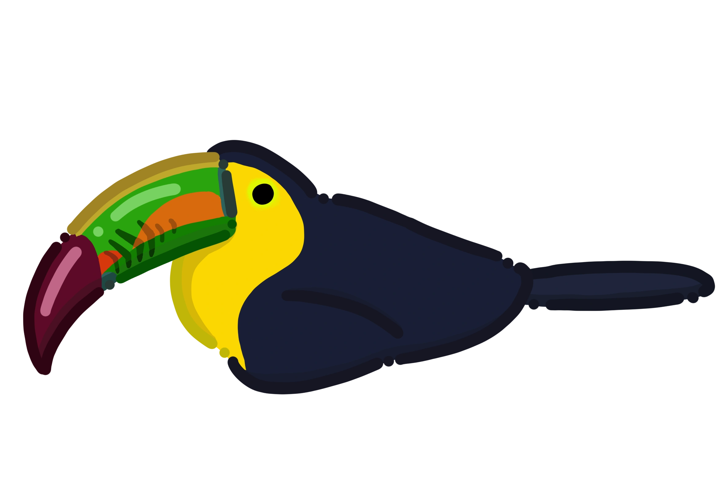 A Toucan I drew lol | Fandom