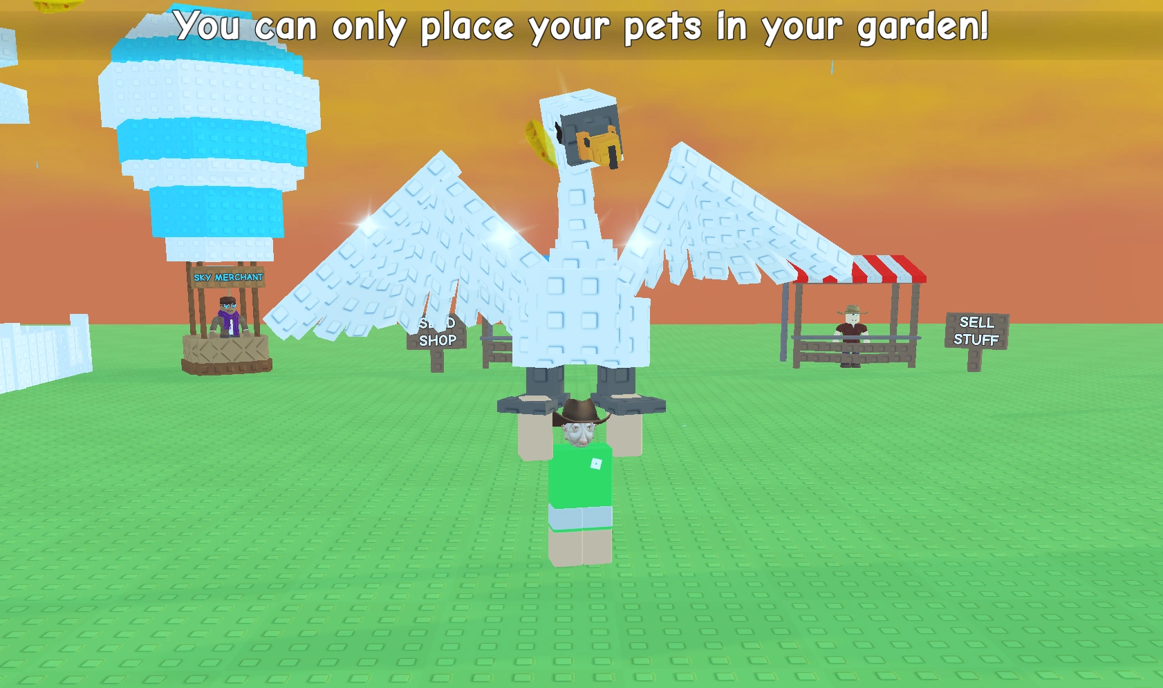 trading swan pet | Fandom