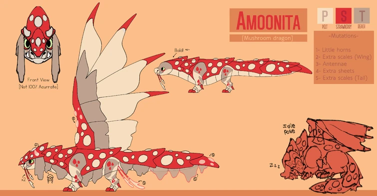 🍄Amoonita🍄 | Fandom