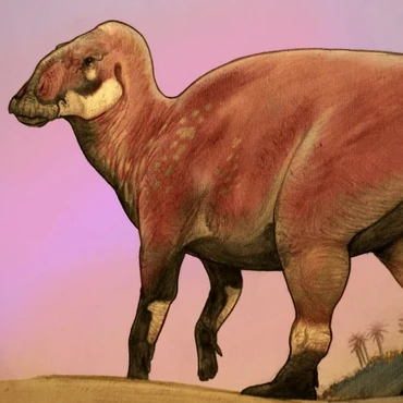 Discuss Everything About Dinopedia | Fandom