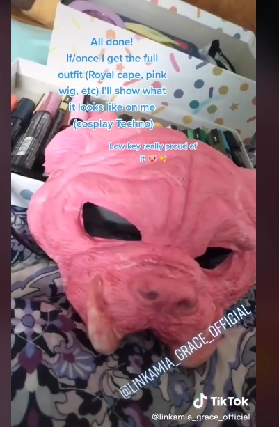 Technoblade Mask I Made