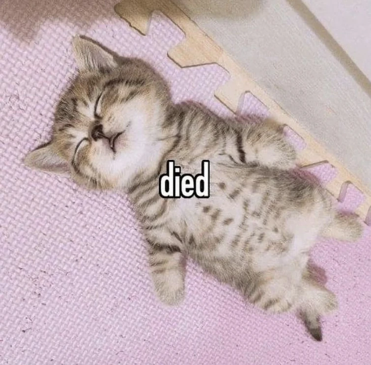 Also I get to stay home tomorrow (not for particularly good reasons ...