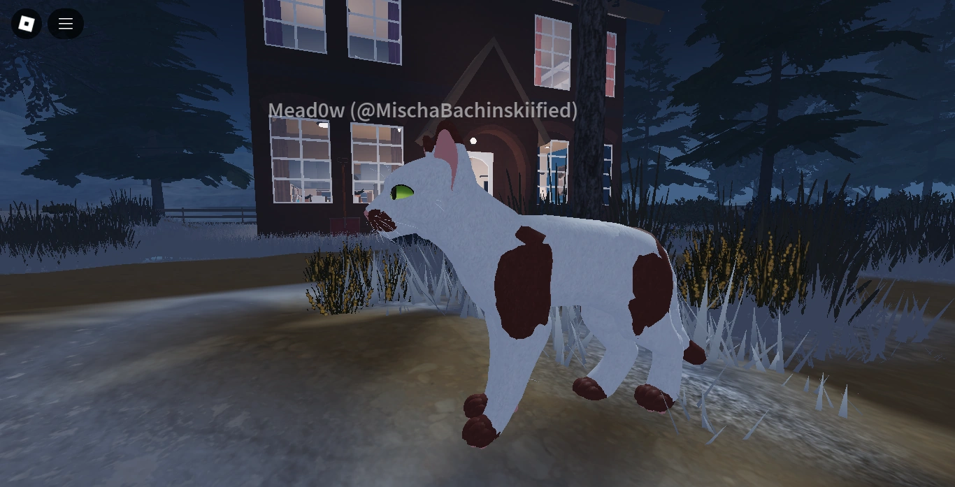 Who's this NPC? | Fandom