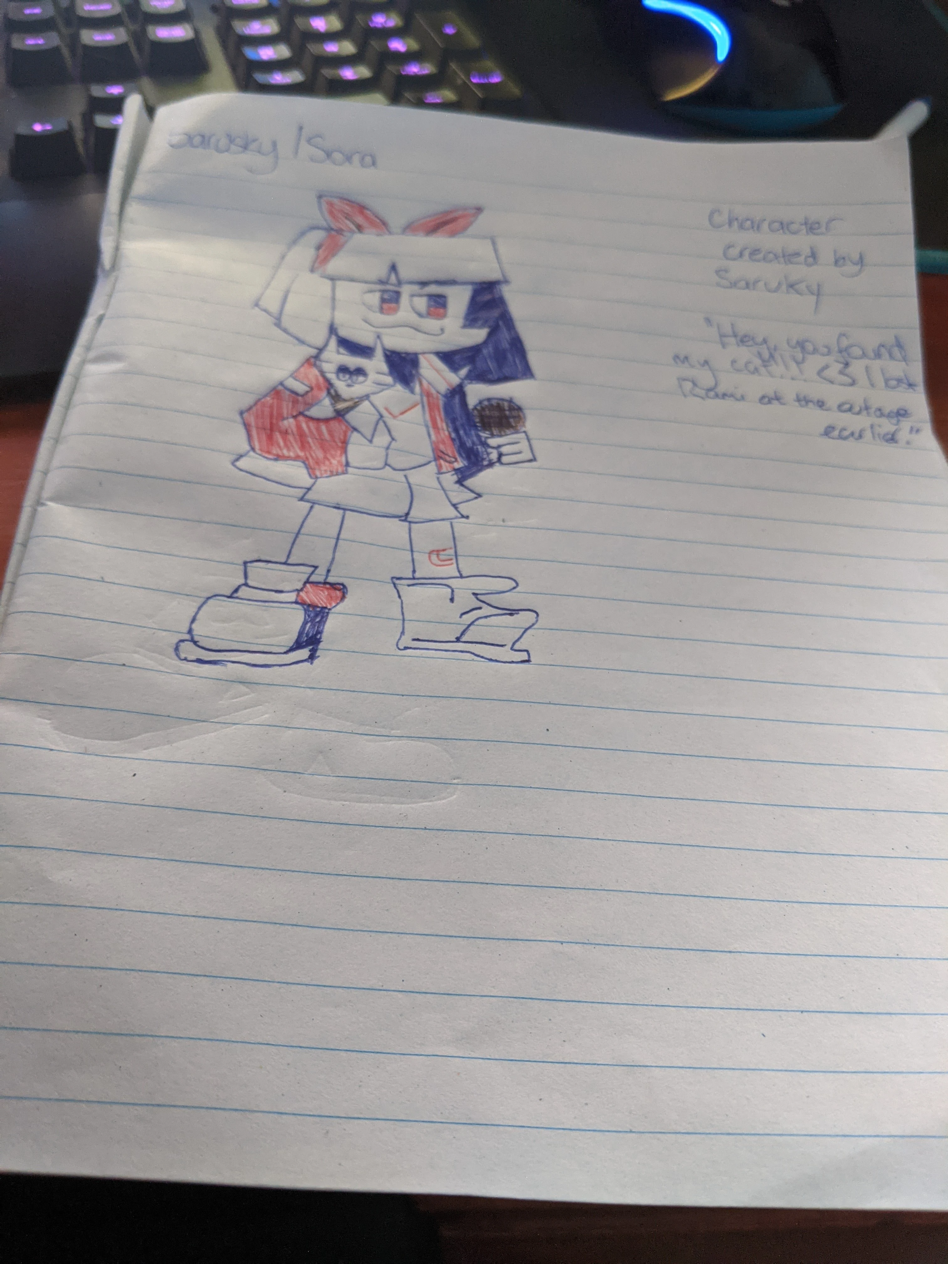 My drawing of Sarusky/Sora | Fandom