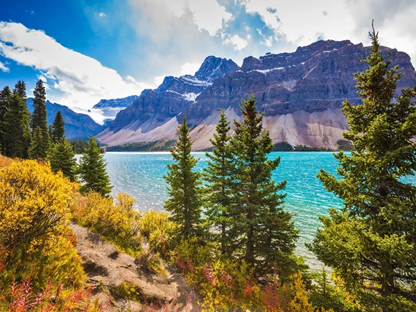 The 10th Hunger Games | 34th Hunger Games Fanon Wiki | Fandom