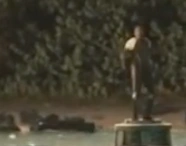 Chaff Mitchell | 34th Hunger Games Fanon Wiki | Fandom