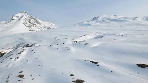 The 72nd Hunger Games | 34th Hunger Games Fanon Wiki | Fandom